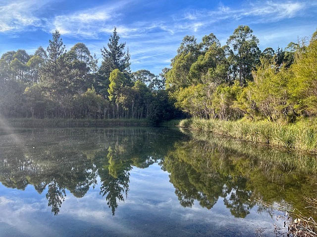 Forest Camping at Mountford Wines | Best Pemberton Camping Spots