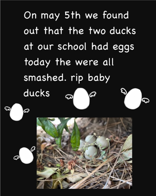 Mayfair High’s Duck Residents' Crushed Eggs