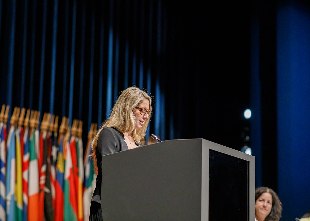 ICCBA President Speaks at 20th Anniversary of the ICC Conference