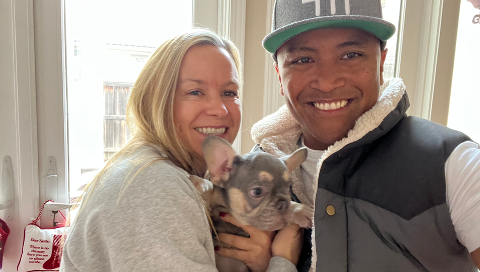 French Bulldog - Frenchies for Sale - Pet Insurance And Rehoming