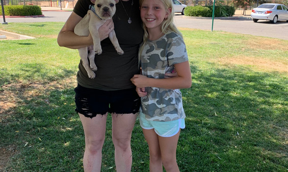 Available Frenchies | NorthCalFrenchies