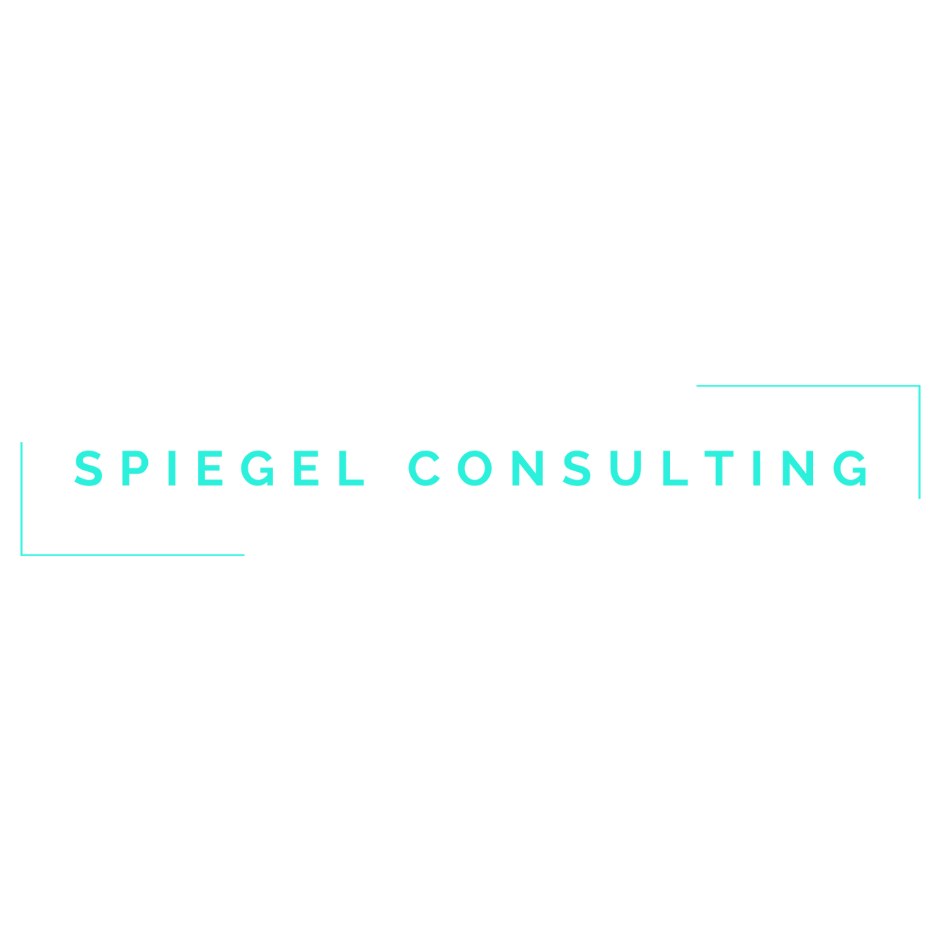 Impressum | Spiegel Consulting