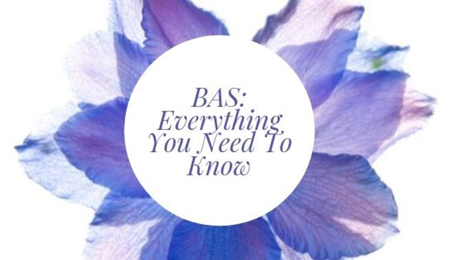 BAS: Everything You Need To Know