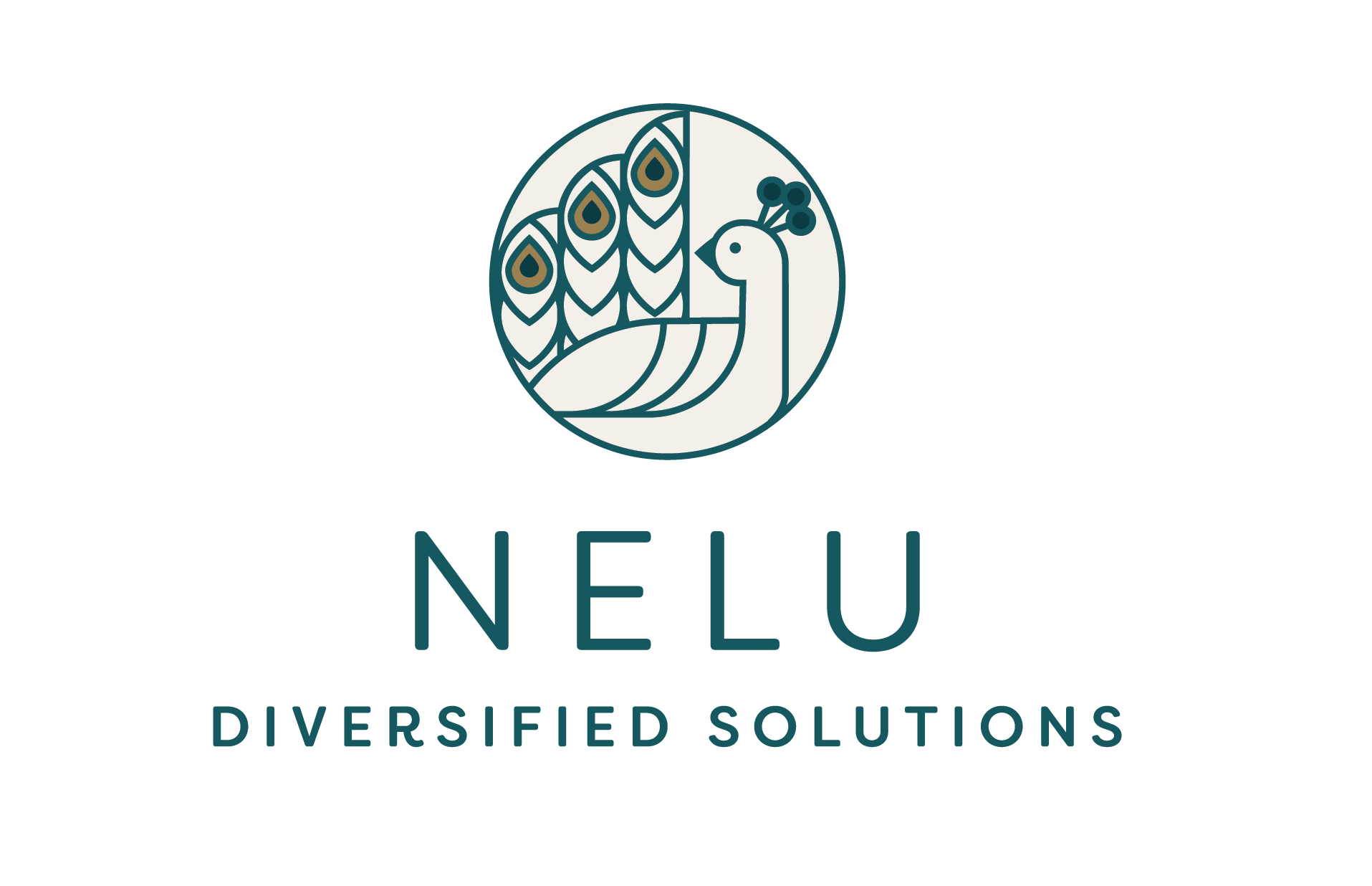 Work with Nelu | Chicago | Nelu Diversified Solutions