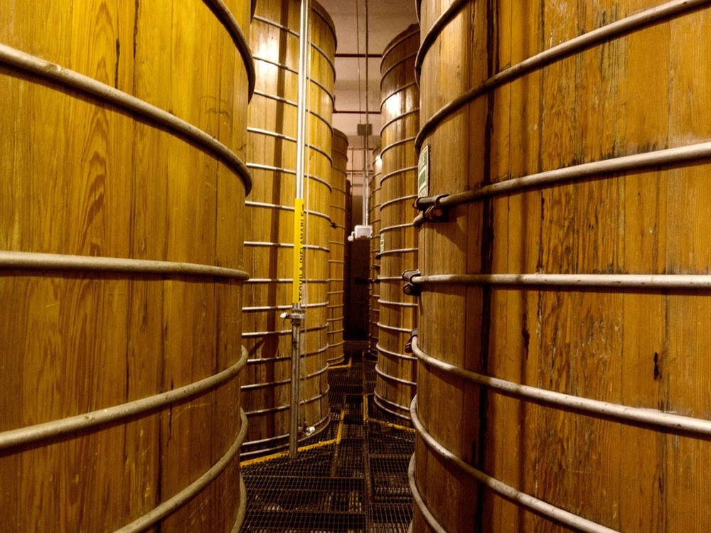 Process of the Tequila