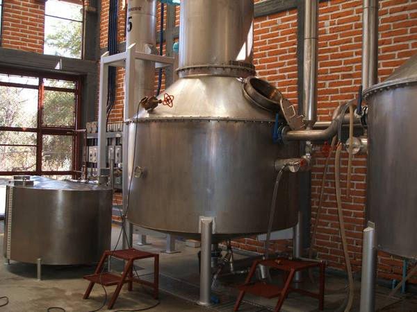 Process of the Tequila