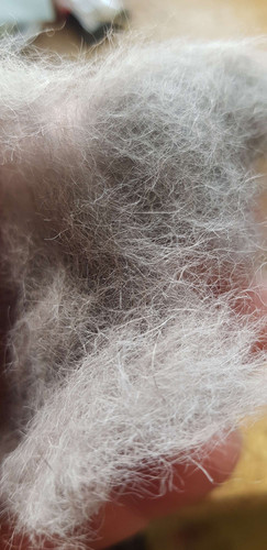 Natural mole fur dubbing | nzfishingflies