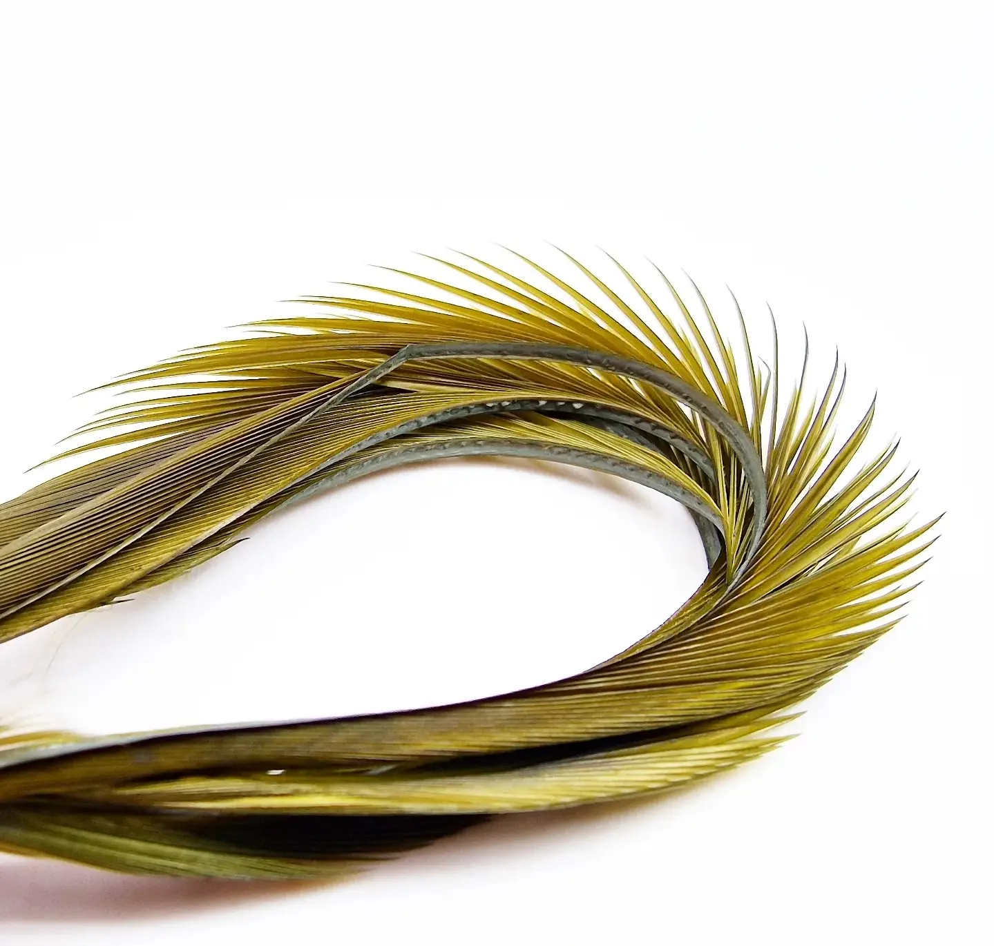 Goose Biots | nzfishingflies
