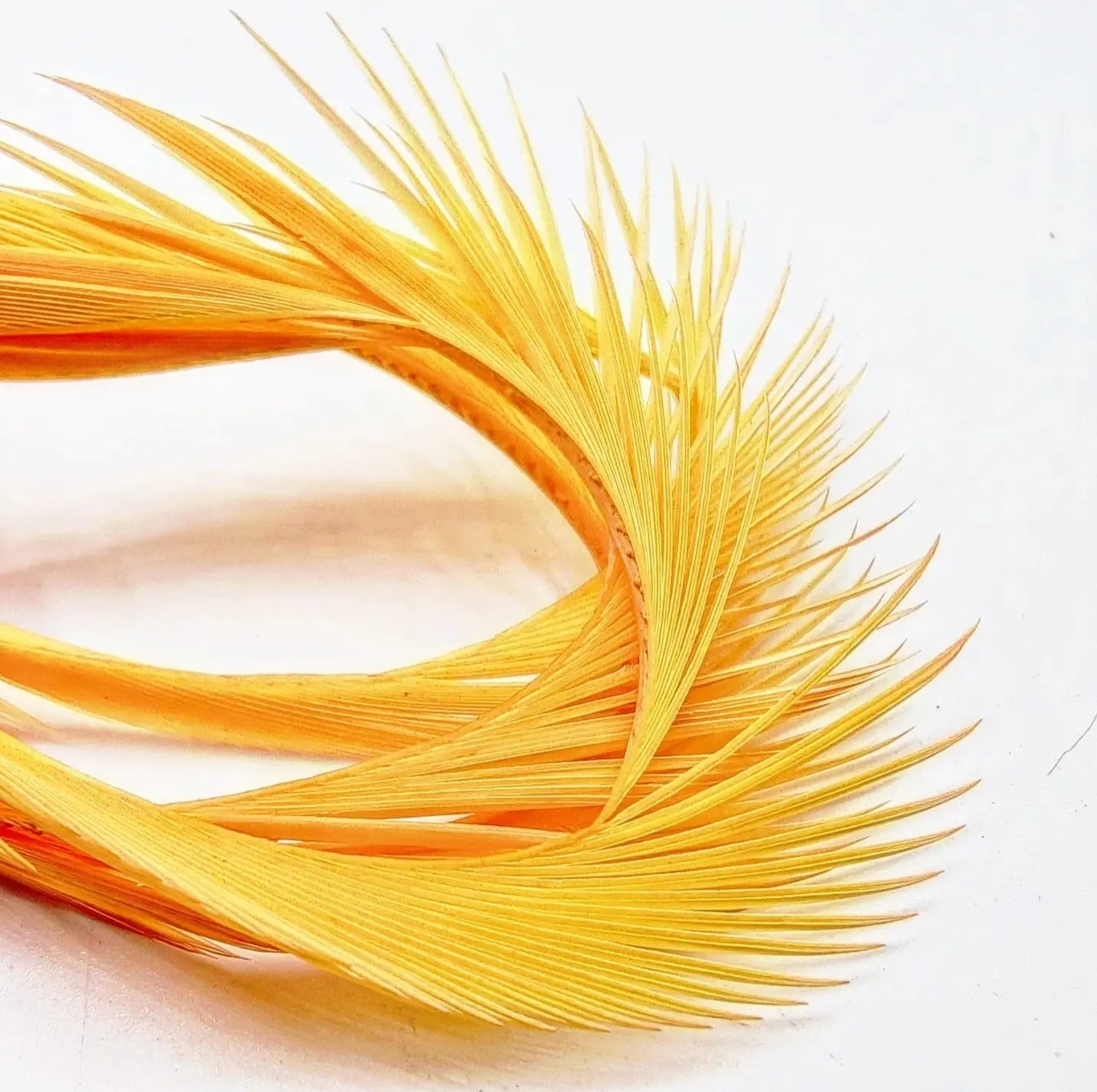 Goose Biots | nzfishingflies