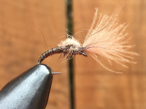 CDC Emerger | nzfishingflies
