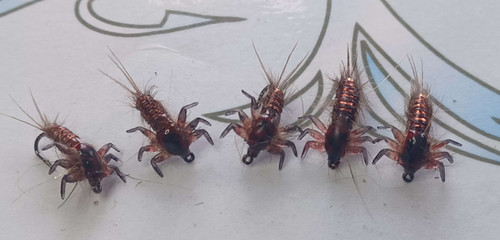 Swimming mayfly nymphs pack of 5 | nzfishingflies