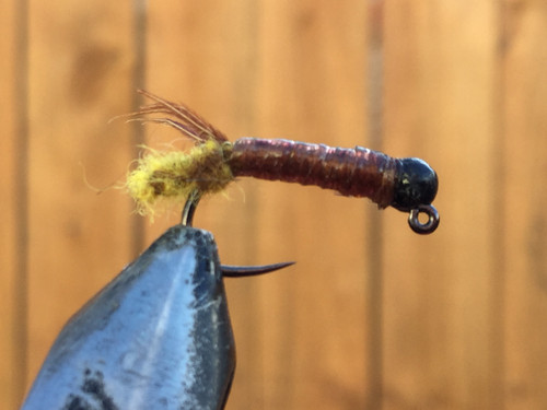 Euro Horn Cased Caddis | nzfishingflies