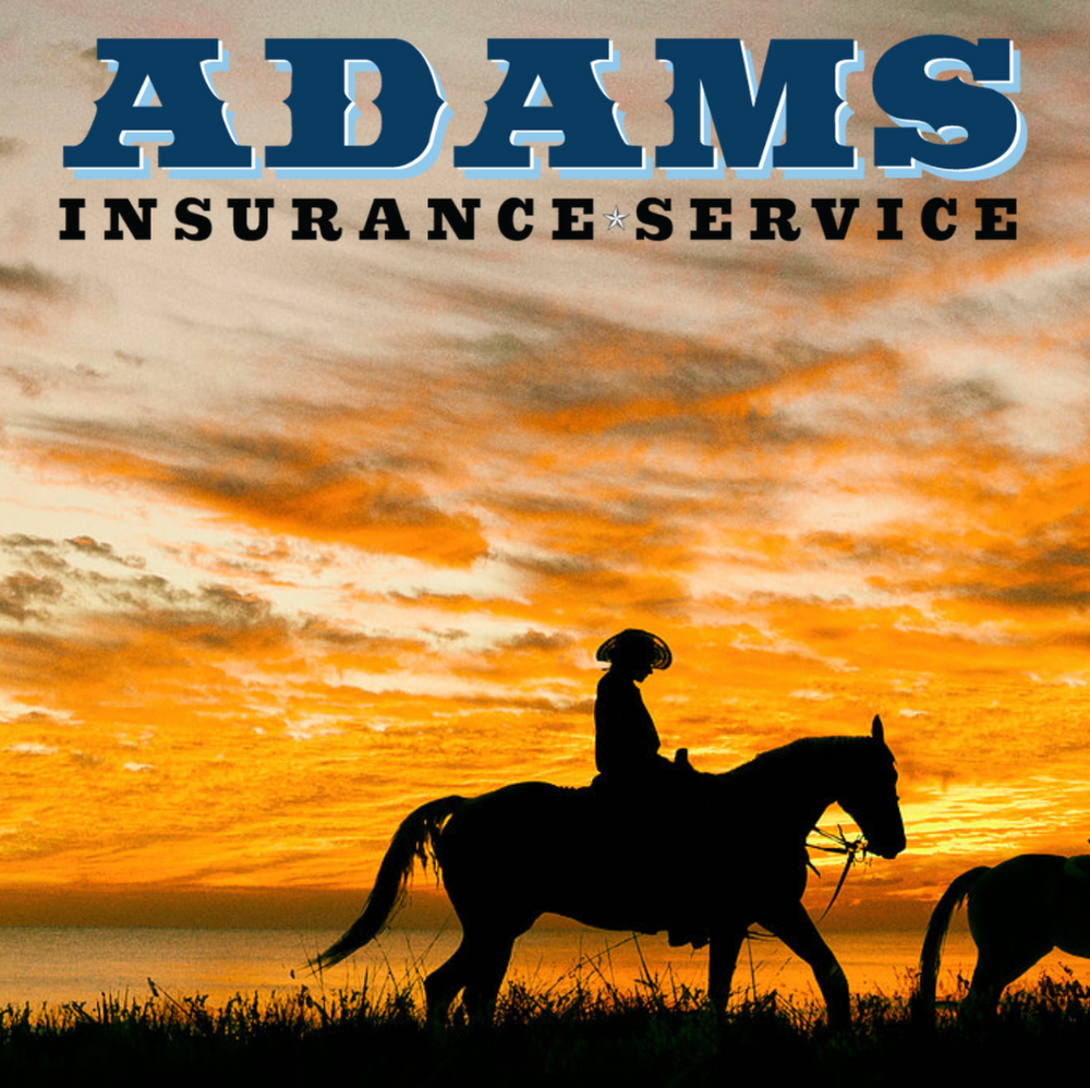 Adams Web Upgrade . . . Finally here.