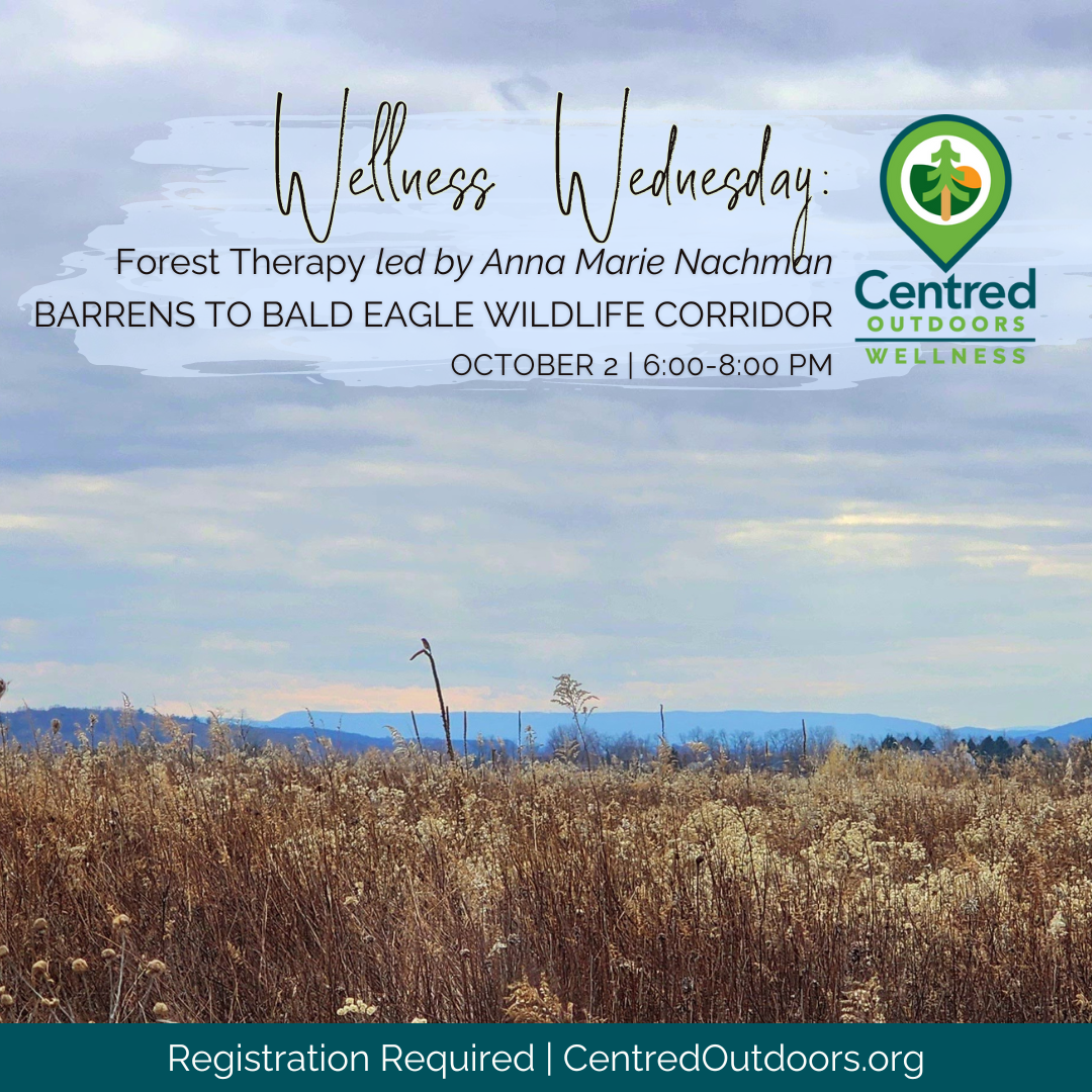 Wellness Wednesday: Forest Therapy | Centred Outdoors