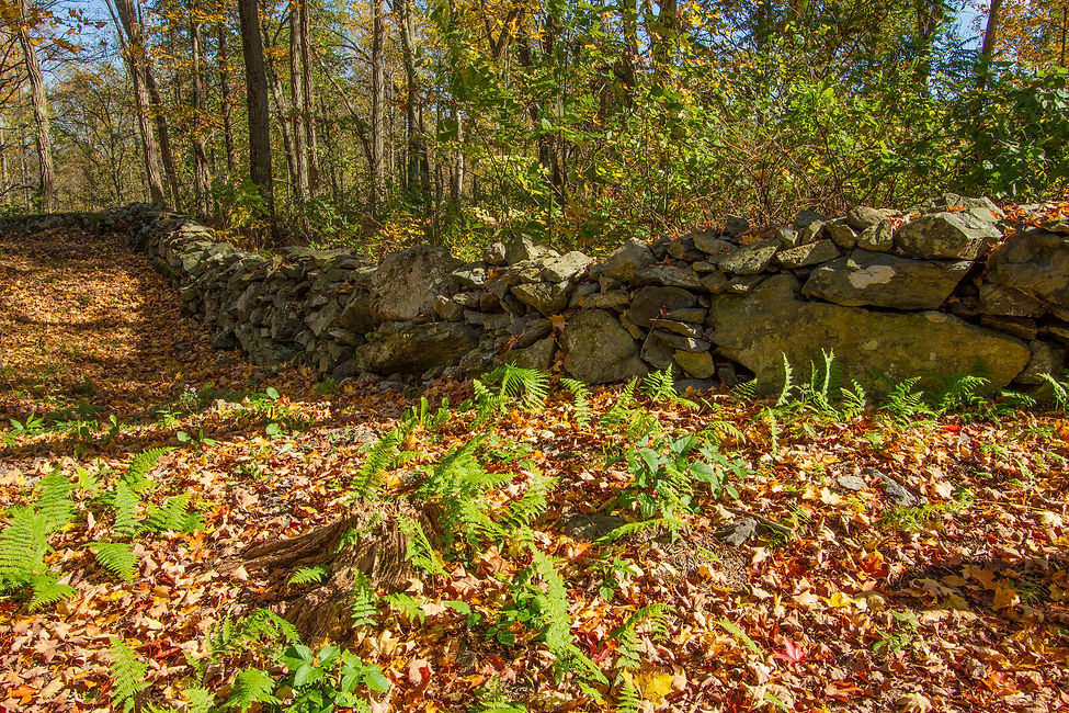Tour the William Miller Property | WilliamMiller1844.com