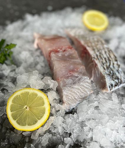 Fresh Saltwater Barramundi Portions (2pcs) | Moofish