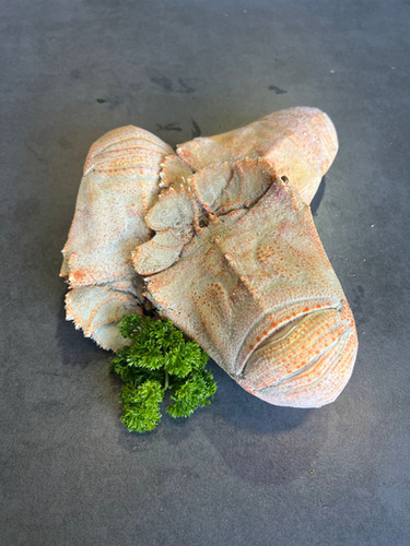 Moreton Bay Bugs (500G) | Moofish