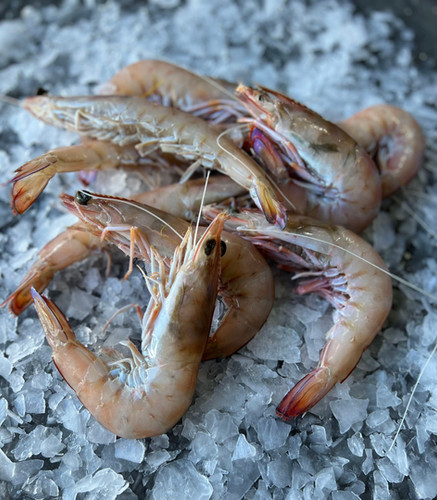 Green King Prawns | Moofish