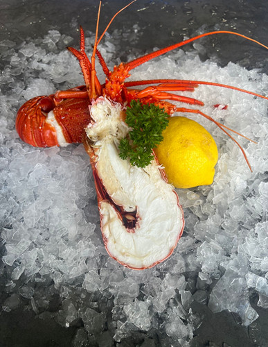 Cooked Western Australian Lobster - Split | Moofish