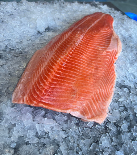 Ocean Trout Sides | Moofish