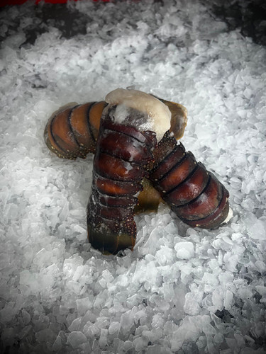 Lobster Tails (each) | Moofish