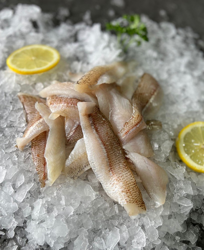 Fresh Red Spot Whiting Fillets | Moofish