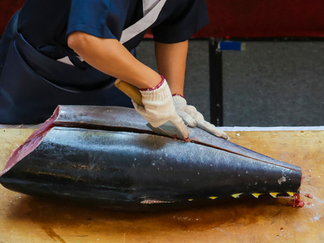 Wholesale Seafood | Moofish