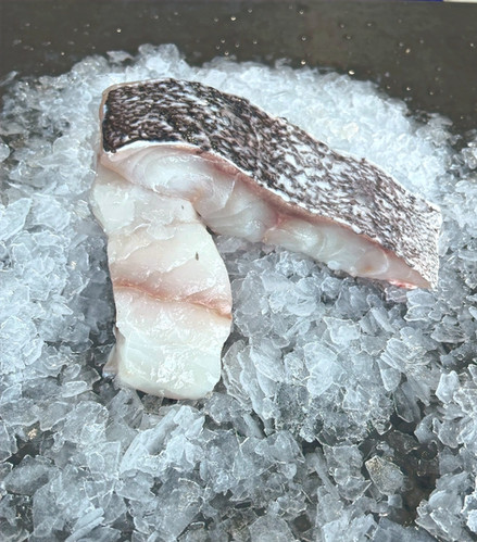 Fresh Blue Eye Cod Portions (2pcs) | Moofish