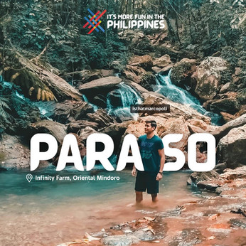 Nature | Infinity Farm | Baco