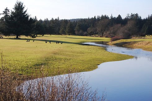 Course | The Willows Golf Course