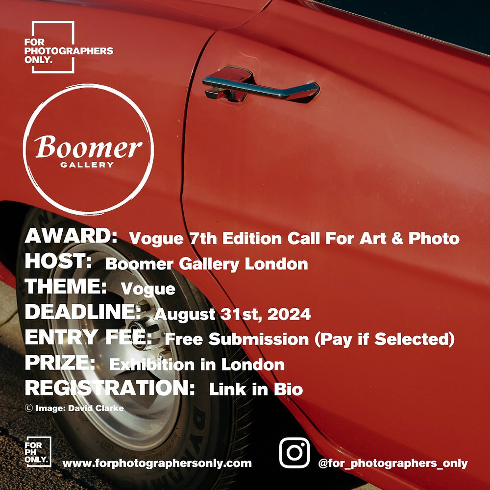 The Boomer Art Gallery - Vogue 7th Edition