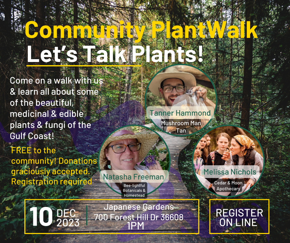 Plant walk! | Cedar&MoonApothecary