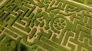 The Amazing Maize Maze - Corn Maze