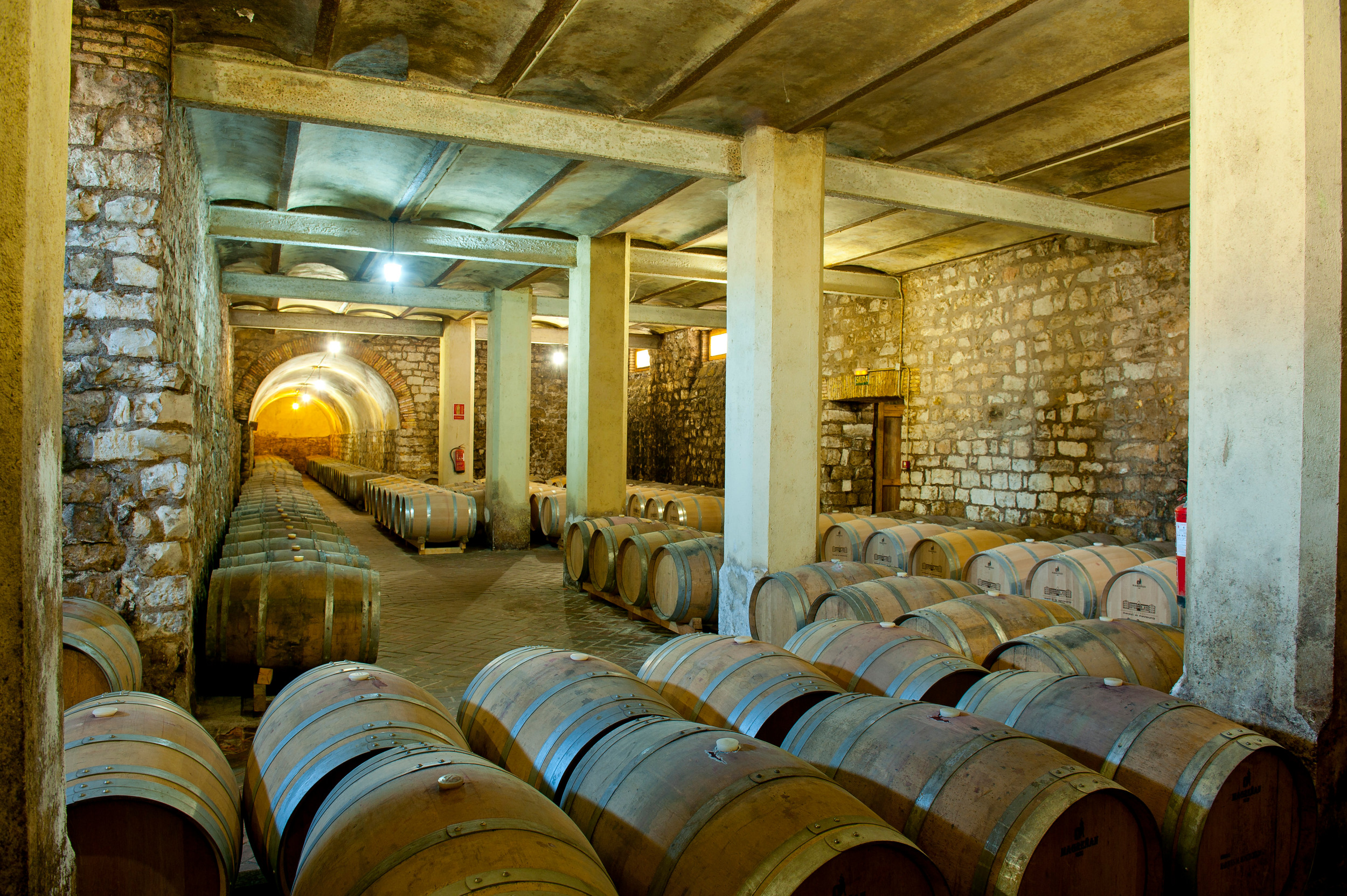 Los mejores vinos de Navarra | GastroMadrid