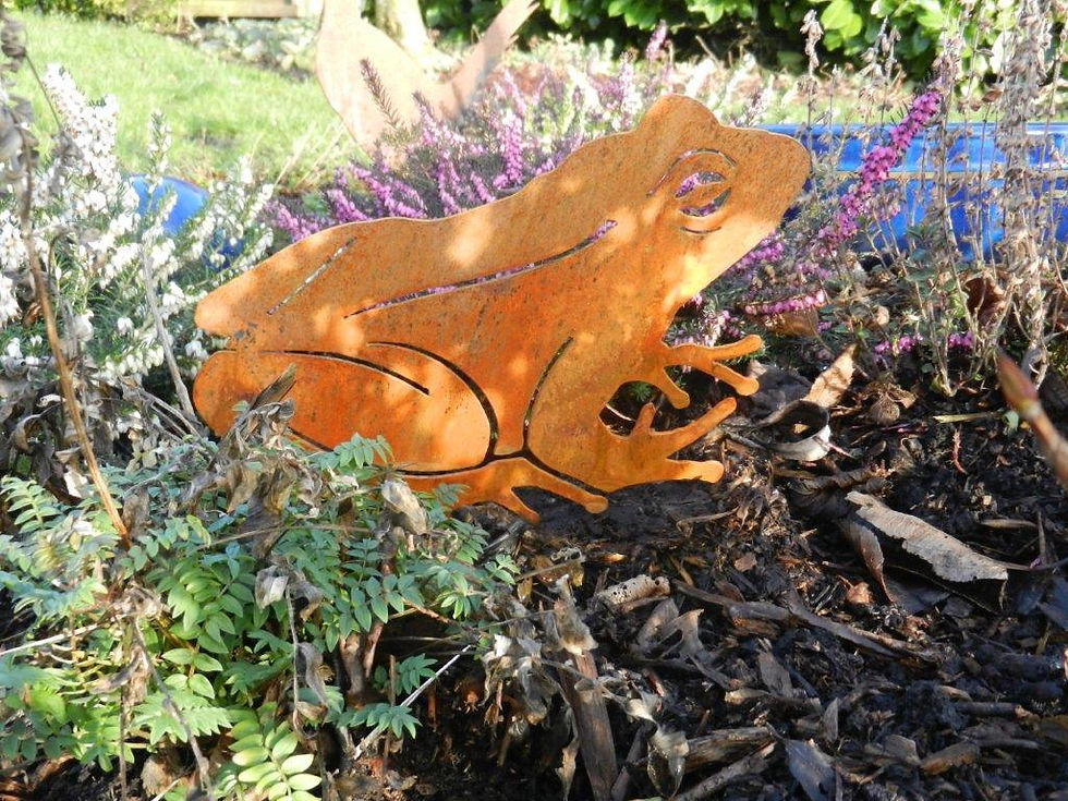 Rusty Metal Garden Frog | Rusty Rooster