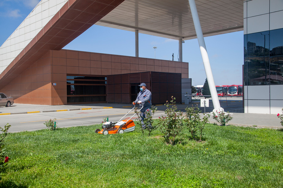 Home | Mint Services LLC