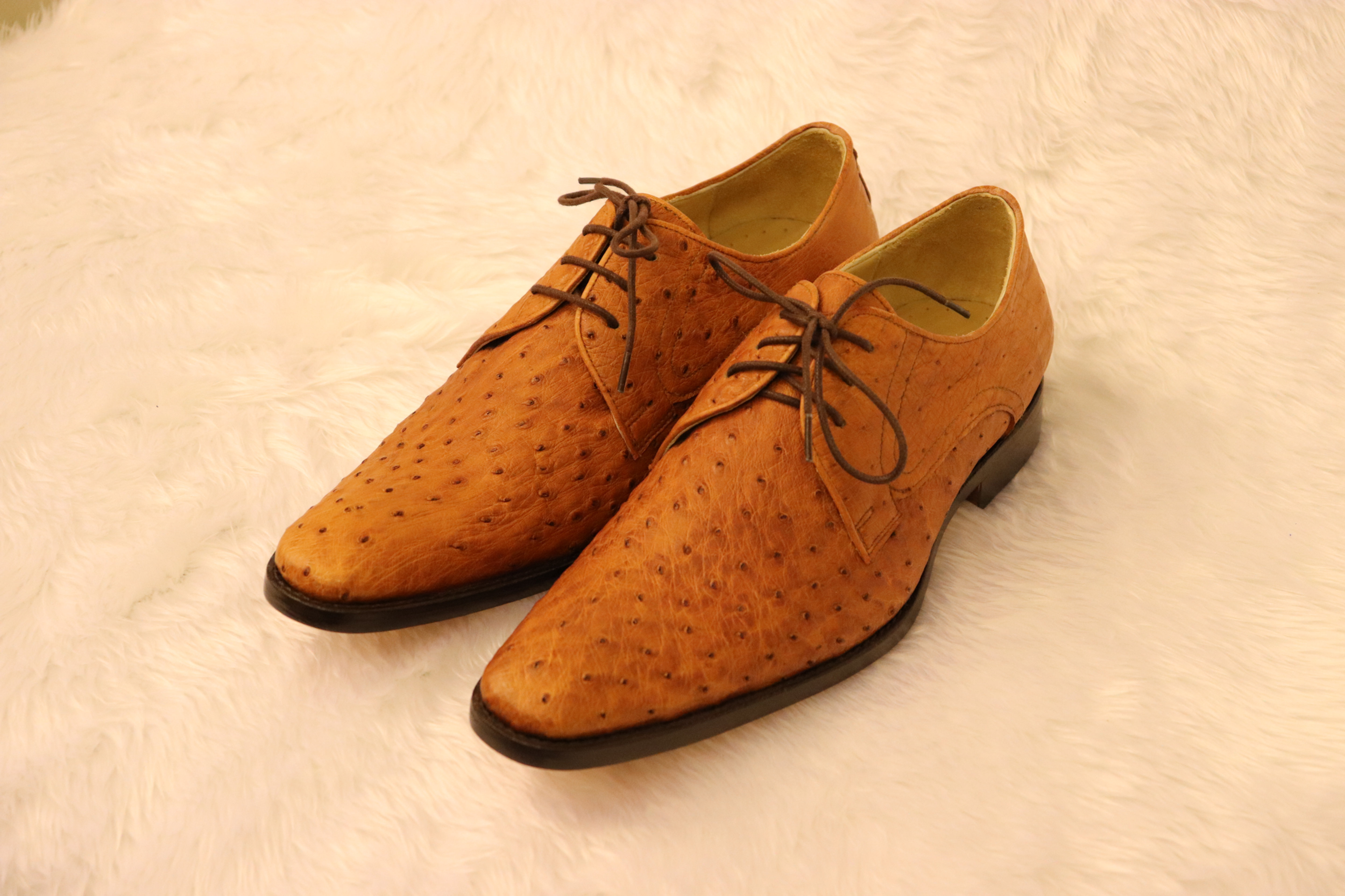 Ostrich Derby | Handcrafted Shoes