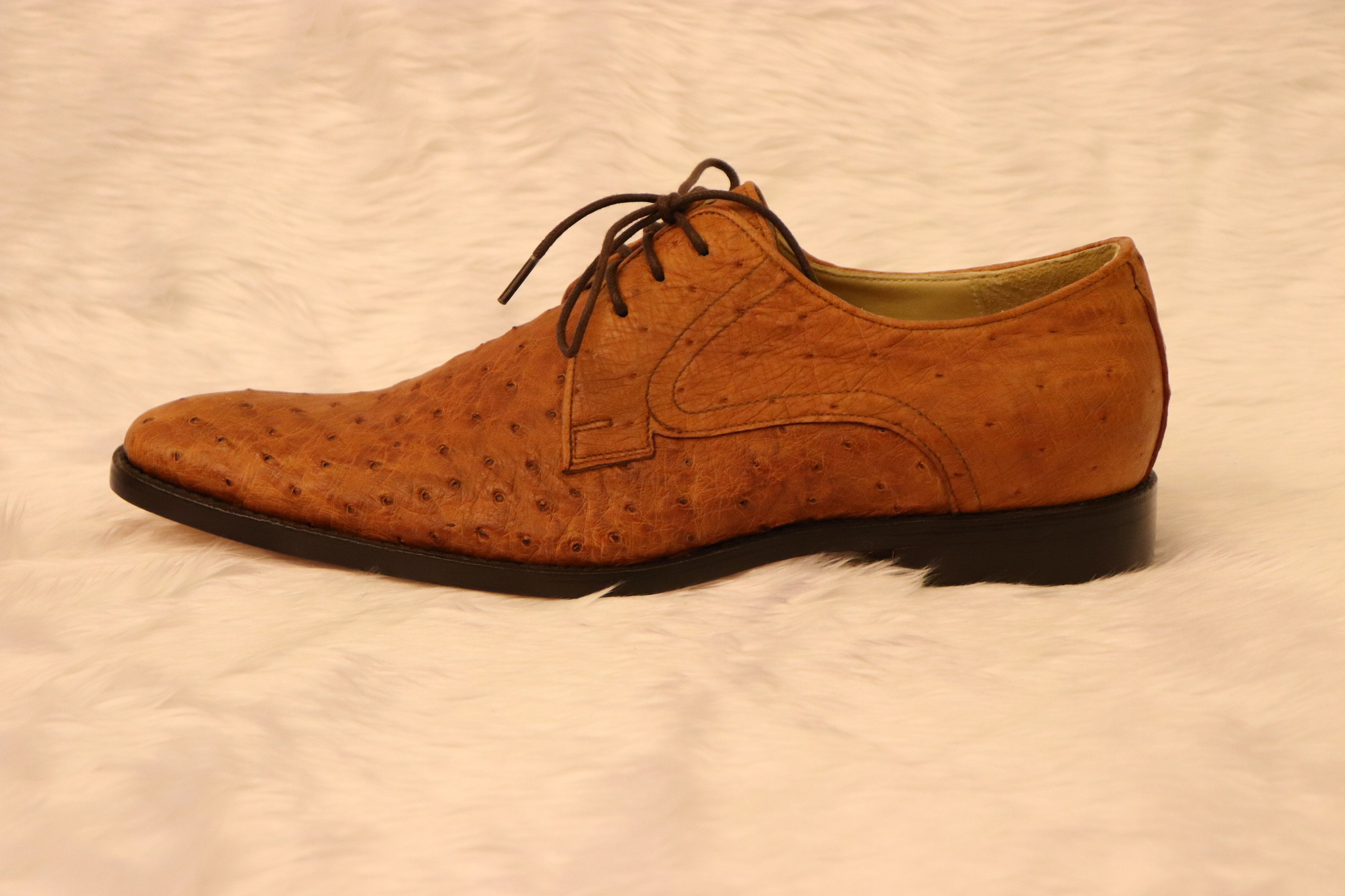 Ostrich Derby | Handcrafted Shoes