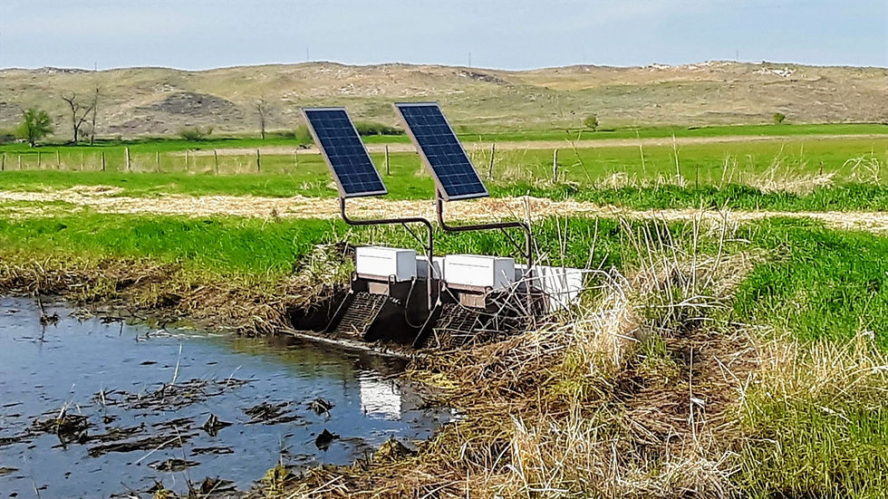 Fish Exclusion Screens | 3S Fabrication & Repair