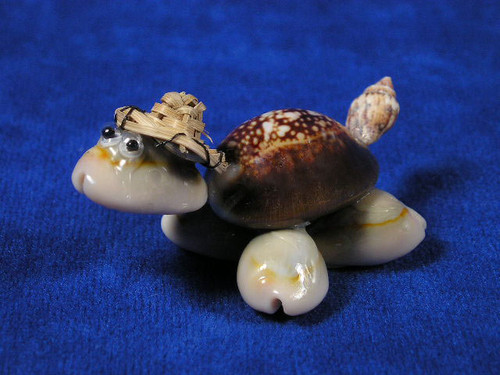 Seashell Turtle with Hat | Naples Sea Shells