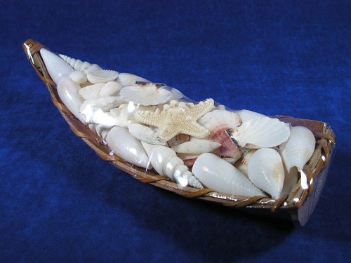 Coconut Seashell Boat | Basket of Seashells