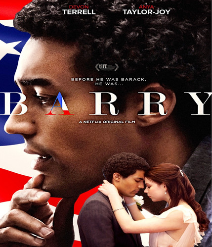 Barry Movie Netflix Blu Ray | Moviefanman