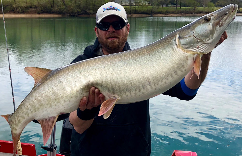 Handle With Care : The tools and skills for safely handling and ...