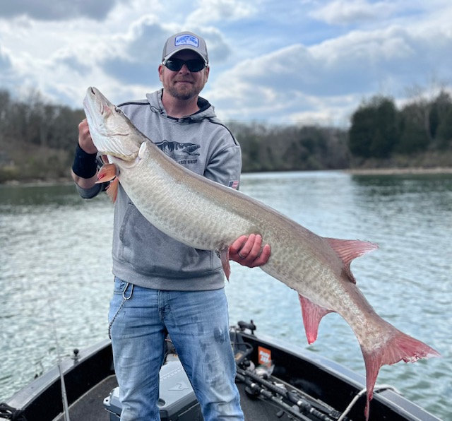 Post Spawn Tennessee Musky Fishing
