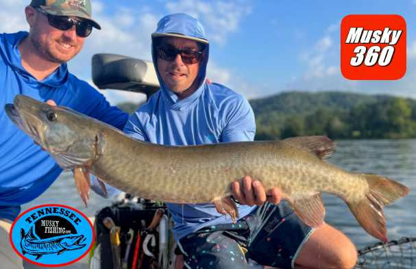 Tennessee Musky Fishing Report 2023