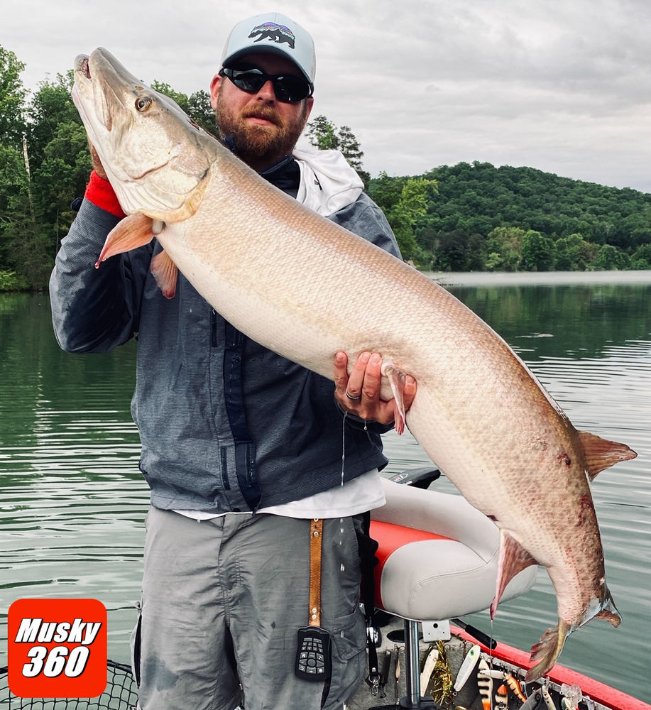 Melton Hill Musky Fishing Report 2020