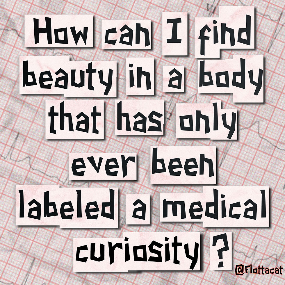 Collages | Flottacat