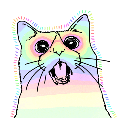 Switch mas Flow | Bebida