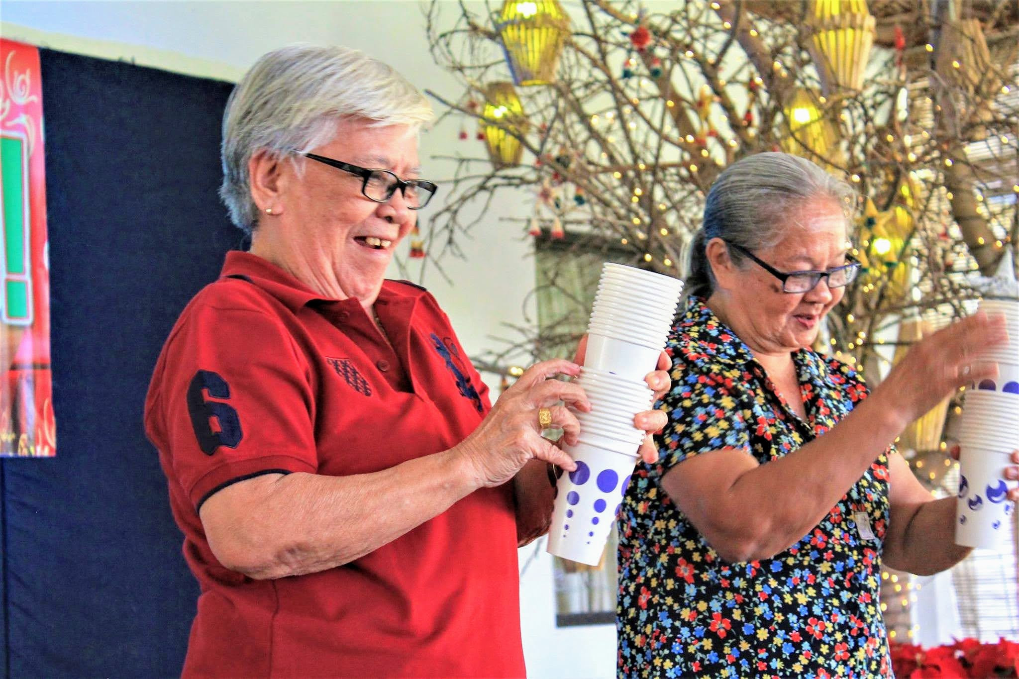 SENIOR CITIZENS’ ASSISTANCE PROGRAM