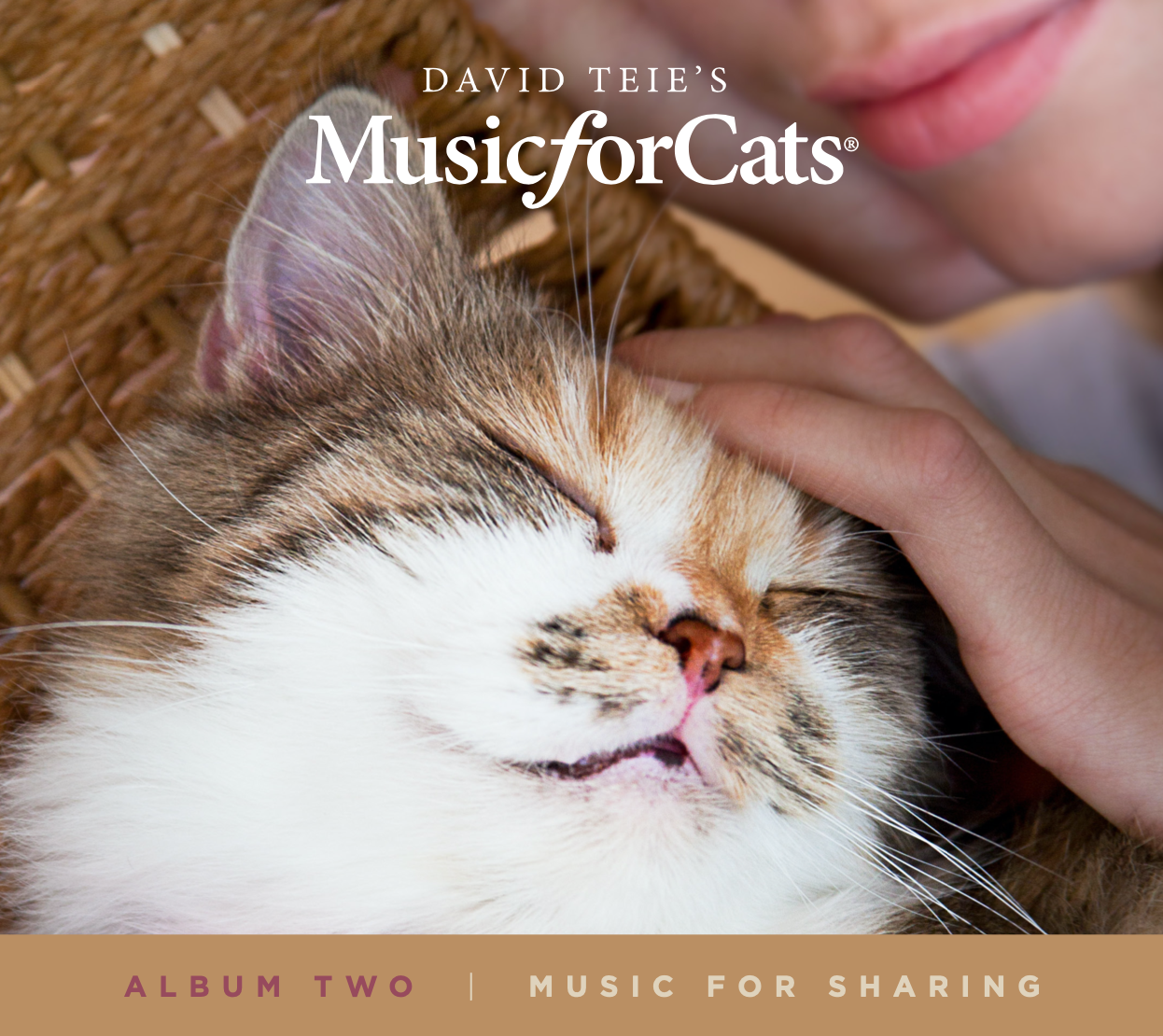 CD of Music for Cats Album Two | MusicforCats